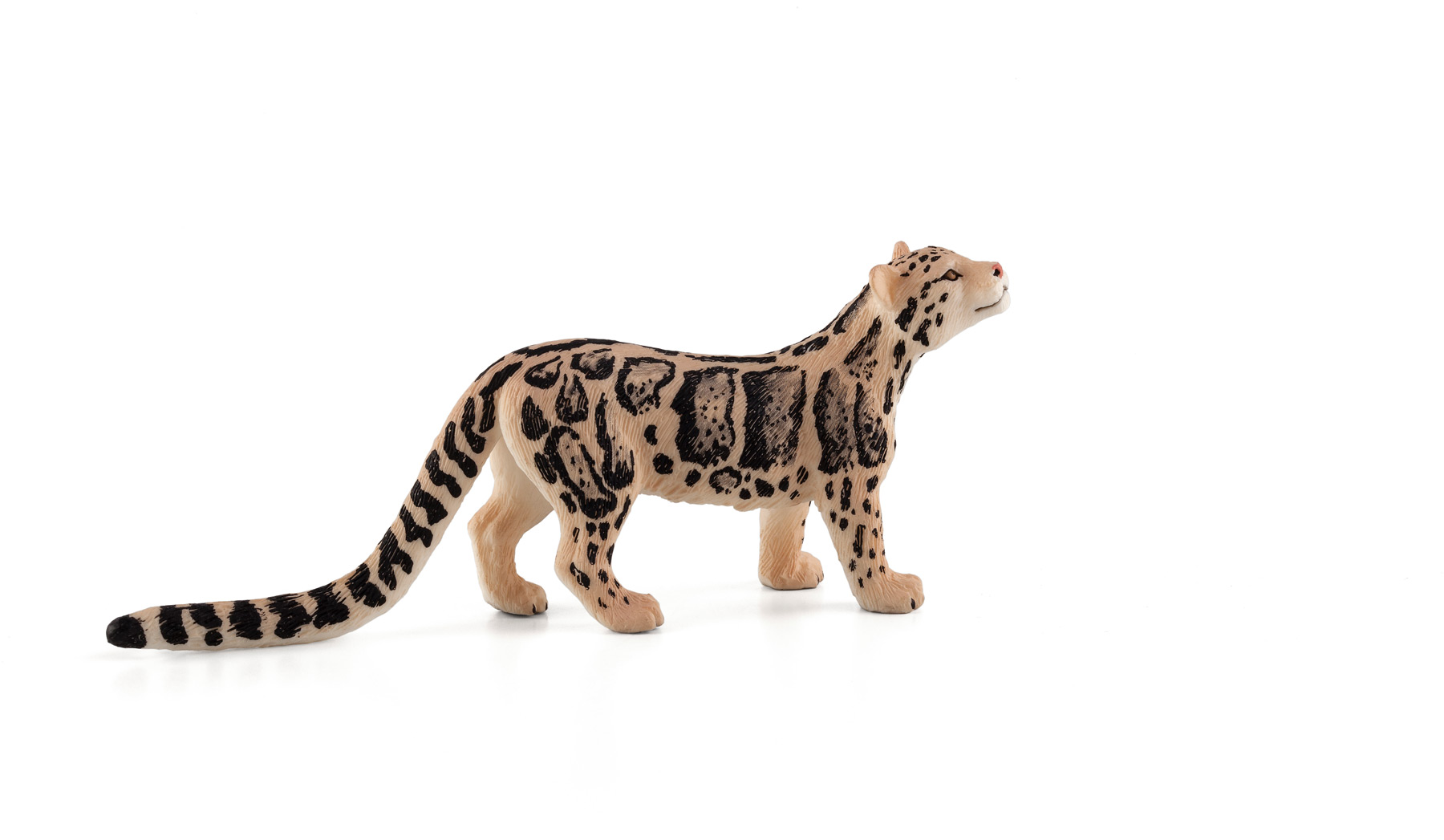 Mojo Clouded Leopard - Mojo - Import for Kids ApS